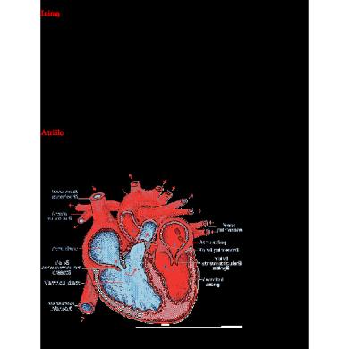 c-v (anat semio).docx [PDF] | Documents Community Sharing