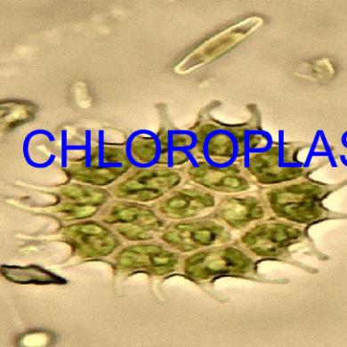 chloroplast project 1 [PDF] | Documents Community Sharing